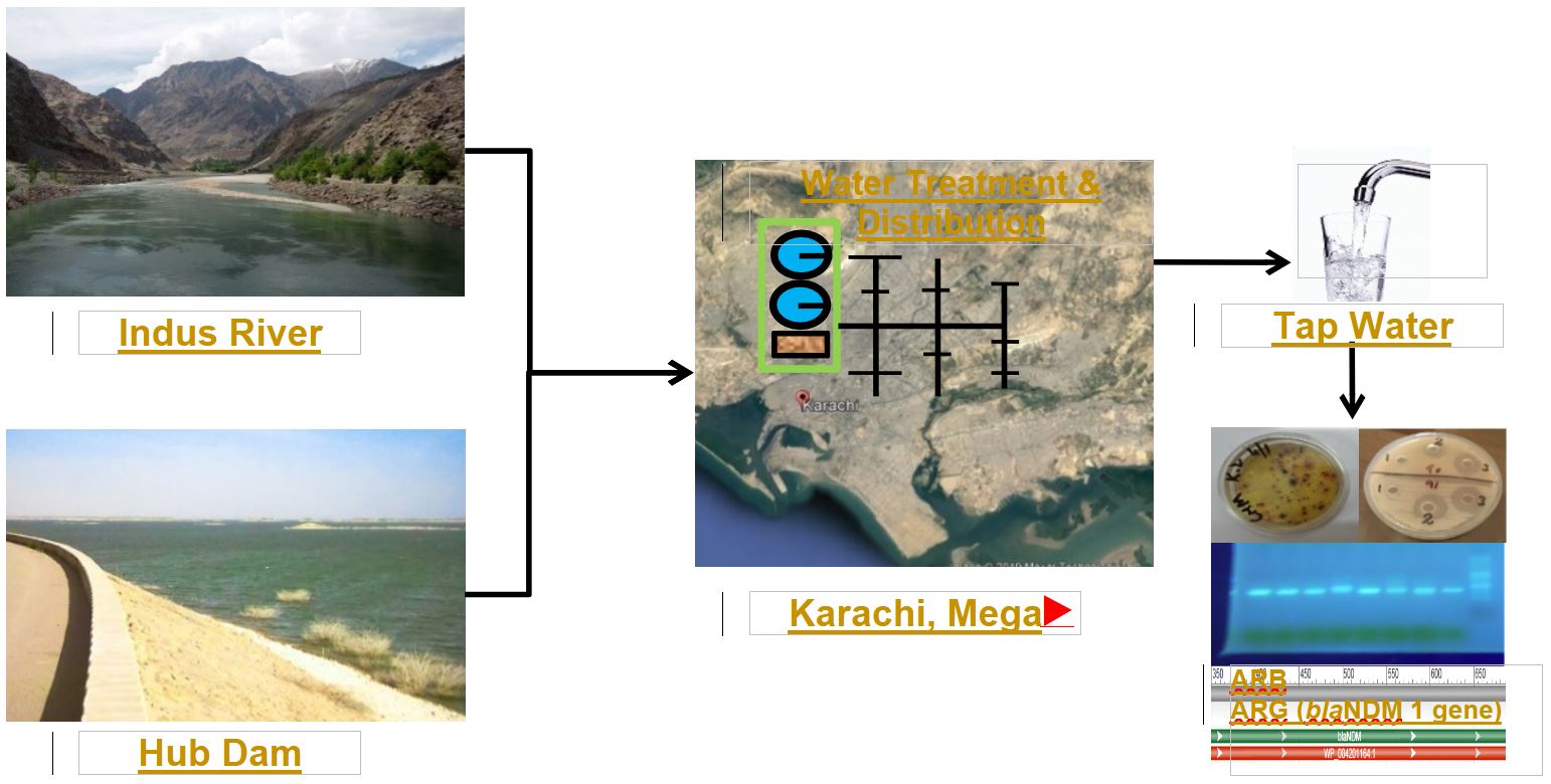 Dr. Atif Mustafa Portfolio | NEDUET - Depatmental Website